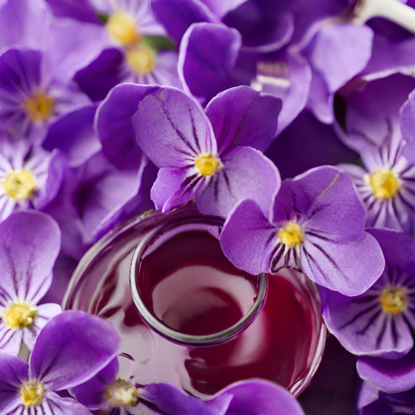 Violet Flower Syrup – Forage.